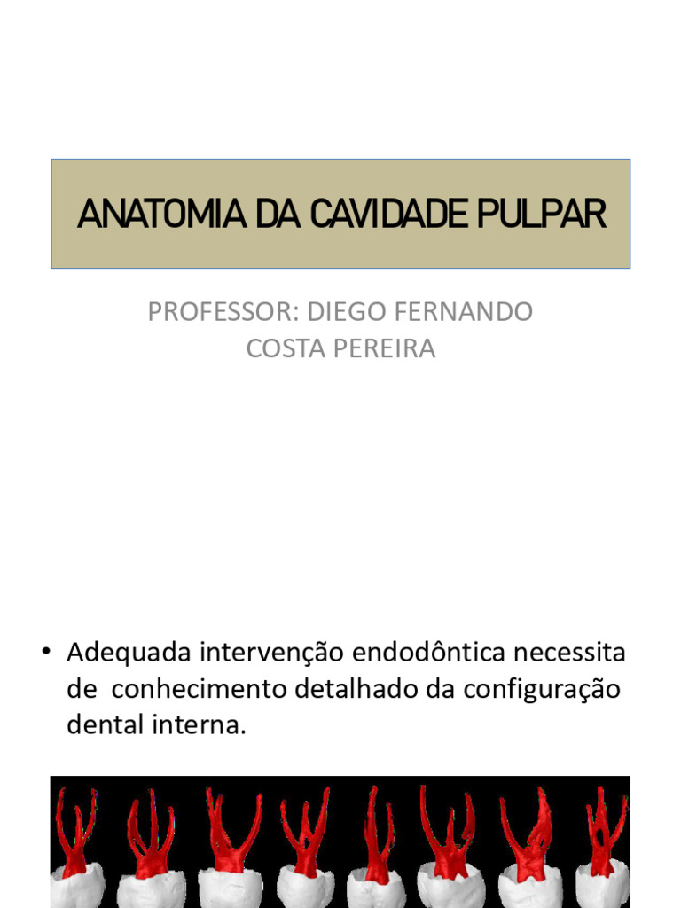 Anatomia da Cavidade Pulpar Dental | PDF