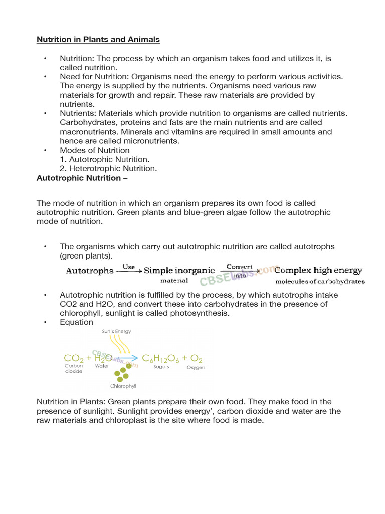 Life Process Notes Class 10th | PDF | Cellular Respiration | Digestion