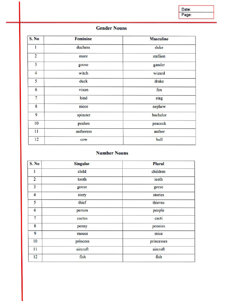 Nouns Notebook Work | PDF