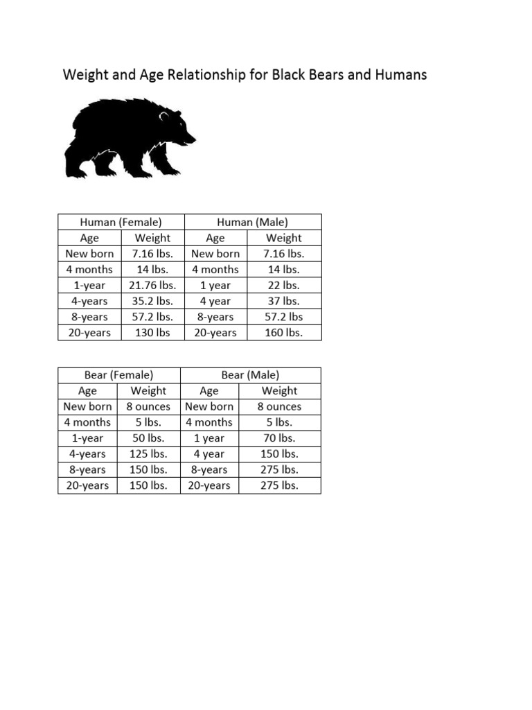 Black Bear Weight and Age Chart | PDF