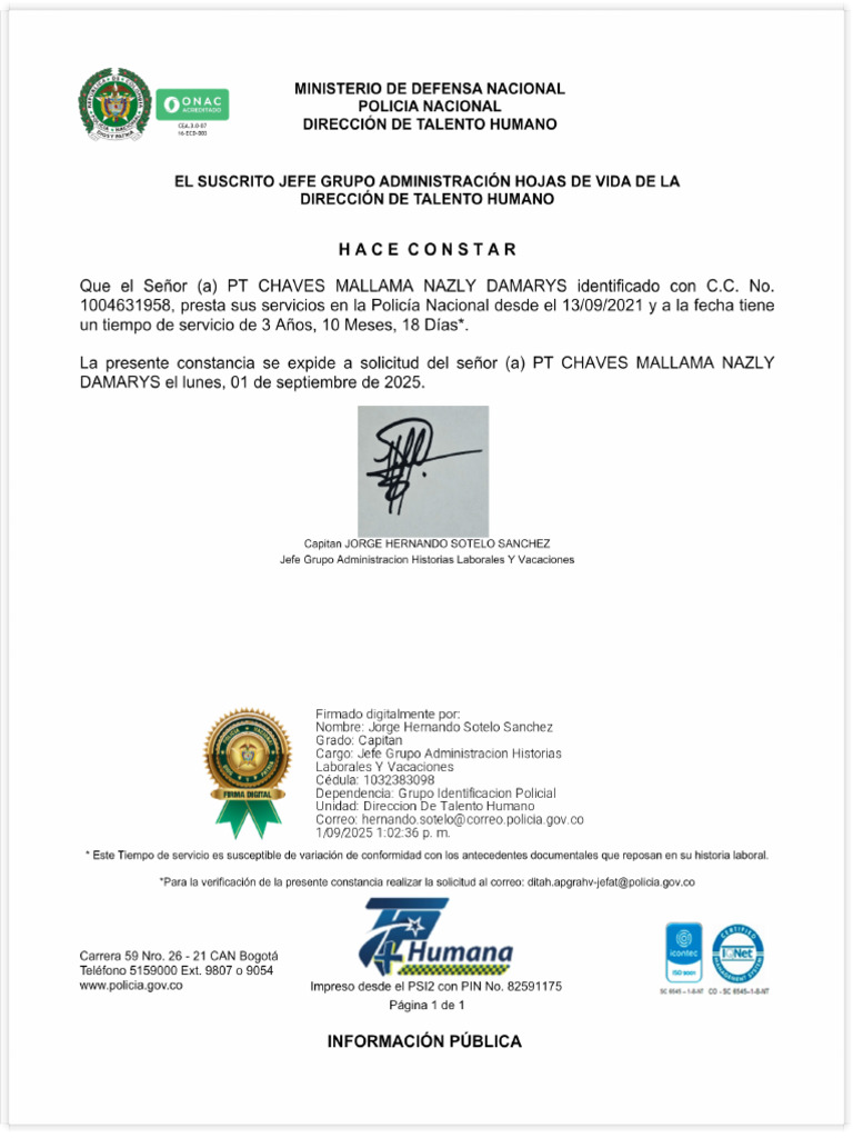 PSI - Portal de Servicios Interno | PDF