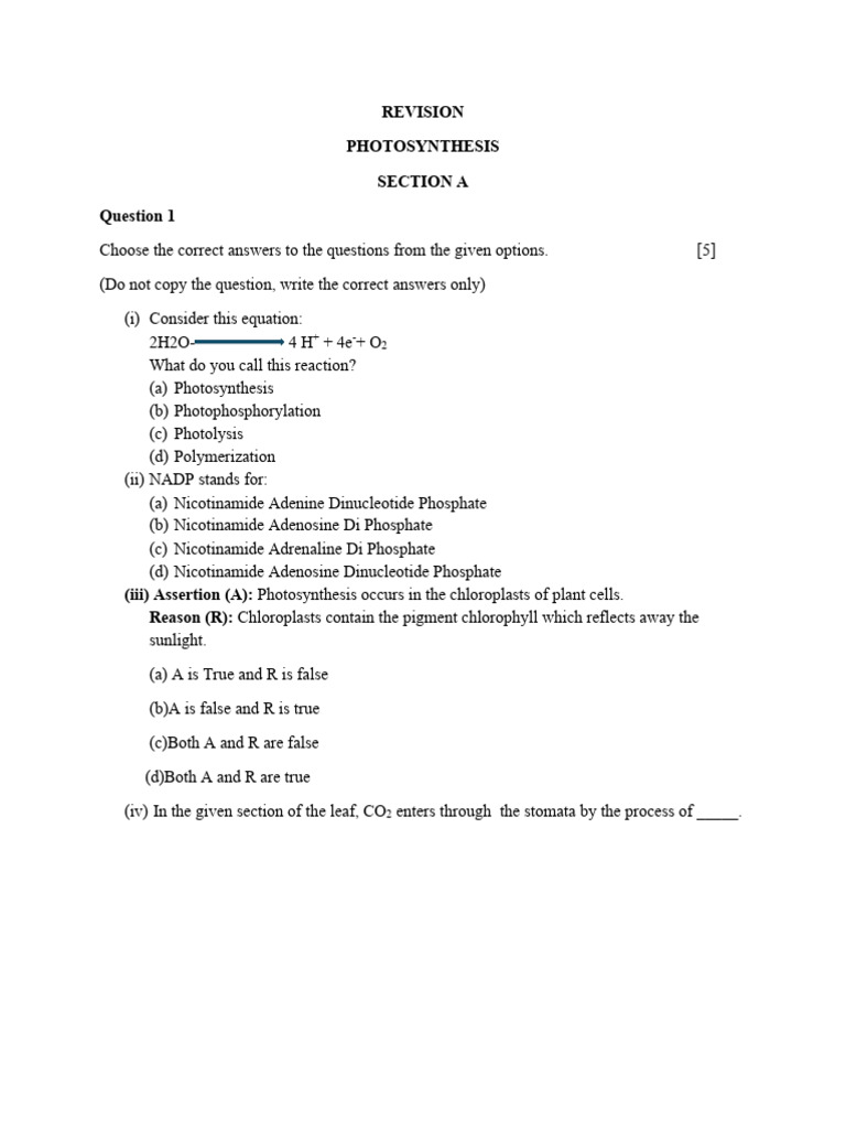 20b24f36 4603 4277 b670 5f6acb6aa6ef STDX Photosynthesis Revision | PDF ...