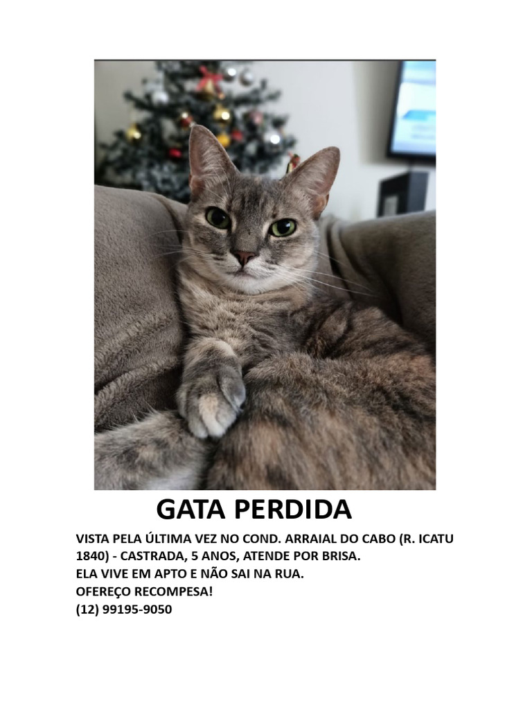 Gata Perdida | PDF