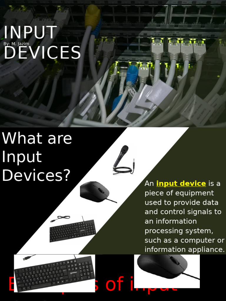 Understanding Input Devices: Types & Uses | PDF
