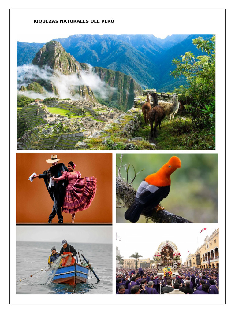 Riquezas Naturales del Perú | PDF | Perú | Biodiversidad