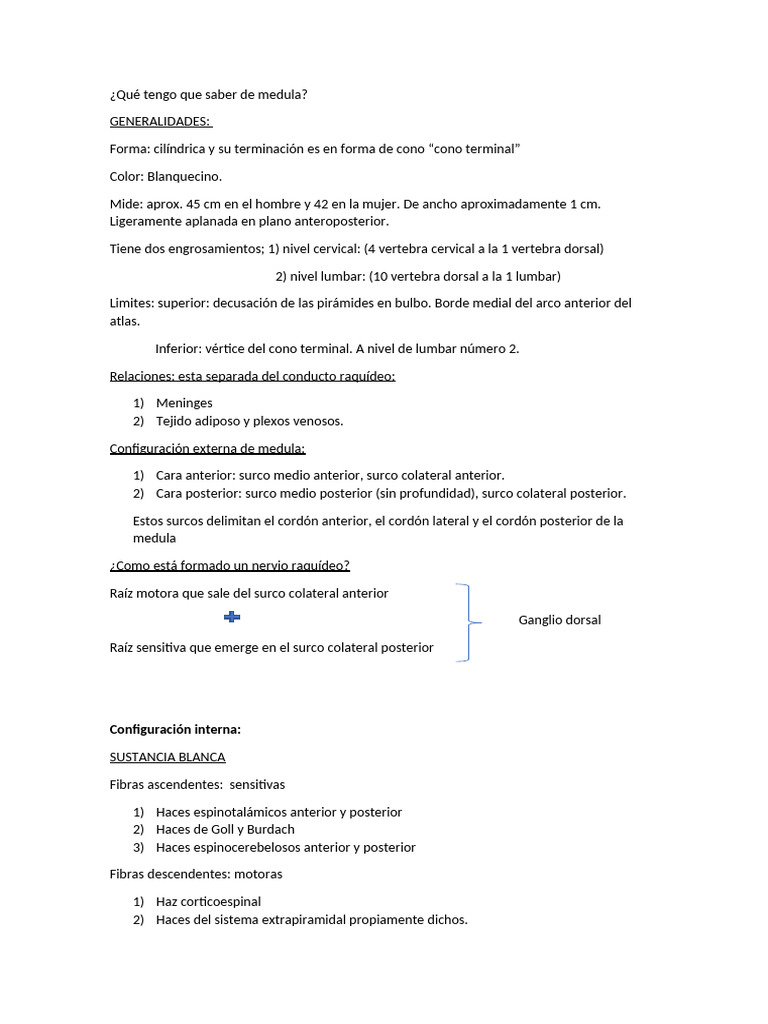 Qué Tengo Que Saber de Medula | PDF