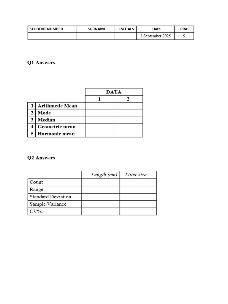 2025 Template Practical 5 | PDF