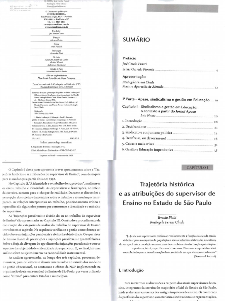 TEXTO 3 PIOLLI e CHEDE (2022) - Trajetória Histórica e As Atribuições ...