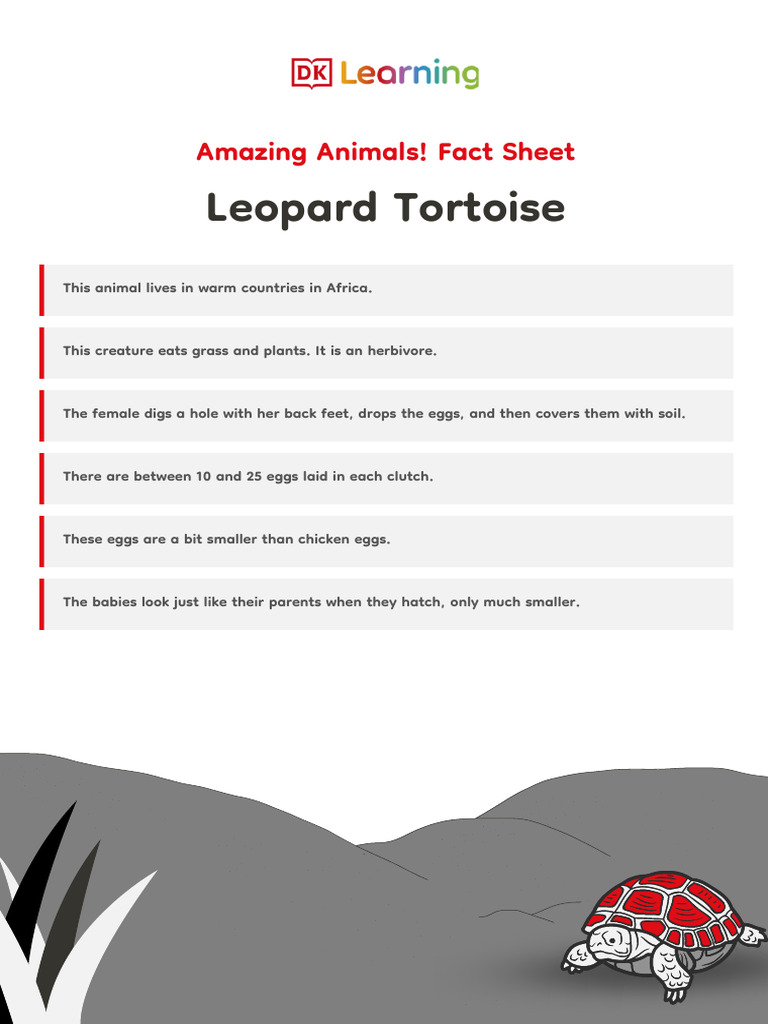 Amazing Animal Facts: Tortoise, Ostrich, Snake, Frog | PDF | Egg | Zoology