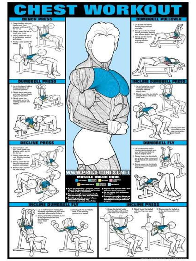 Chest Workout | PDF