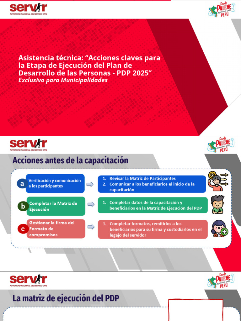 Ejecución del PDP 2025 para Municipalidades | PDF