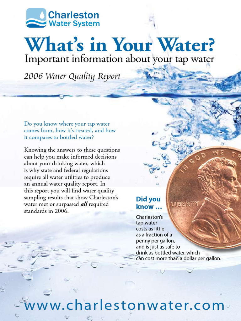 2006 Annual Water Quality Report | PDF | Water | Drinking Water