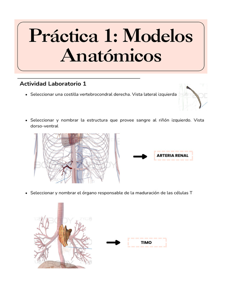AH GrupoB LA6 Actividad1 Lucia Soro Peris | PDF