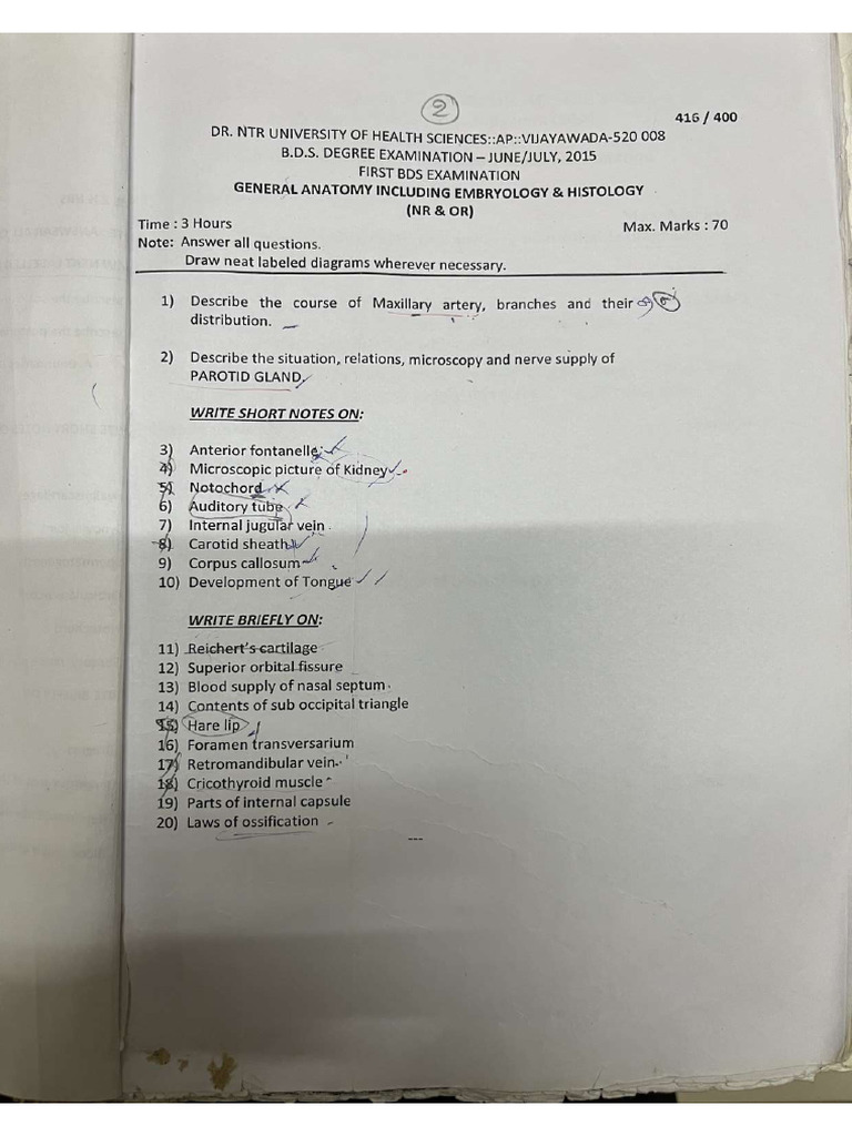 Anat QP Finals | PDF