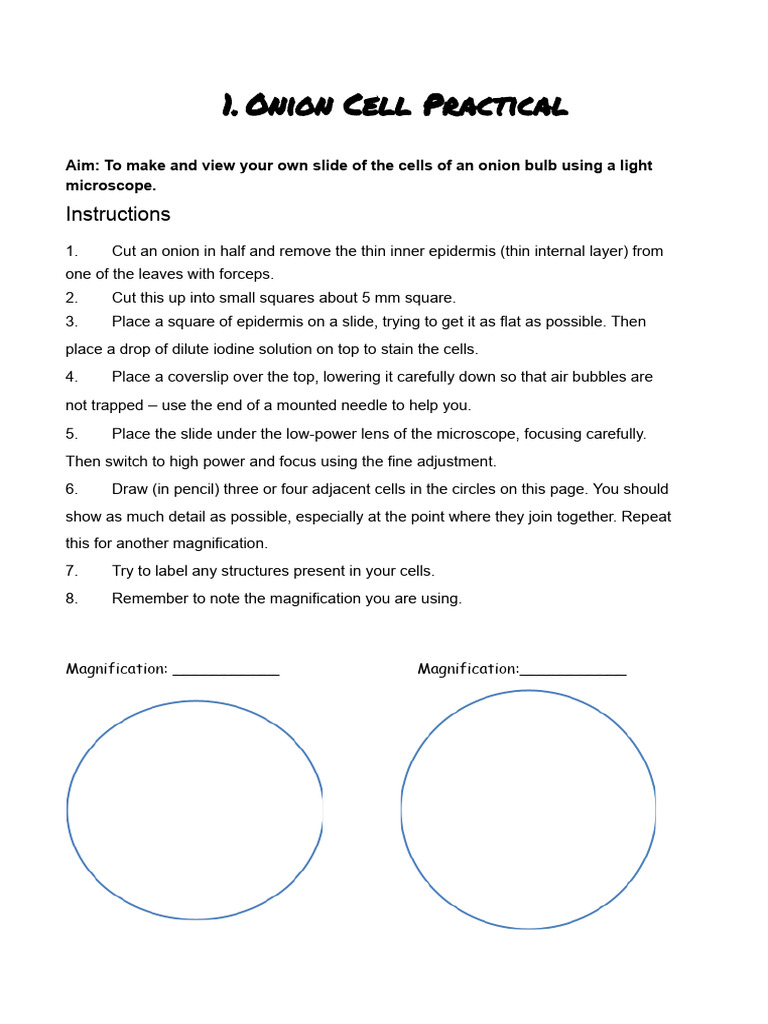 Onion and Cheek Cell Practical | PDF