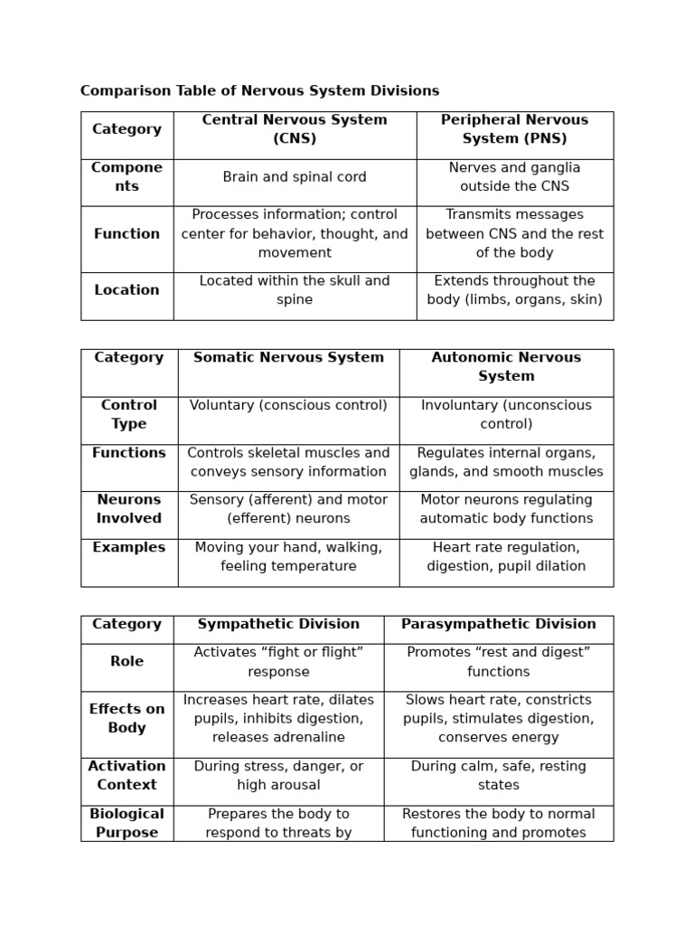 Nervous System Divisions Comparison Table | PDF | Motor Neuron ...