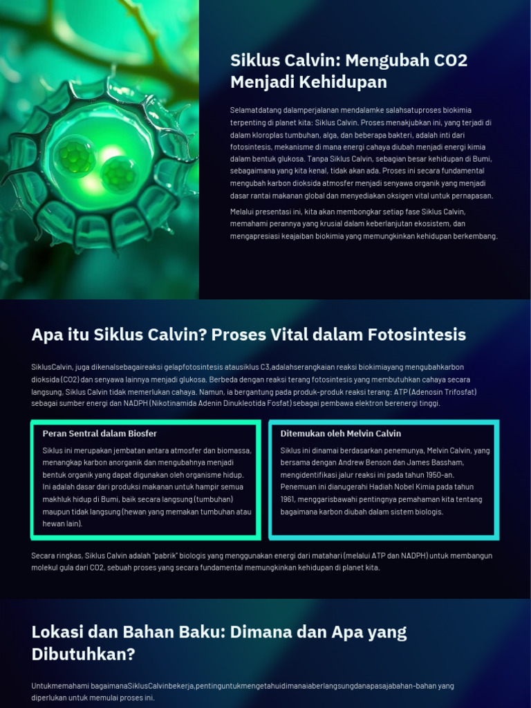Siklus Calvin: Proses Fiksasi CO2 dalam Fotosintesis | PDF