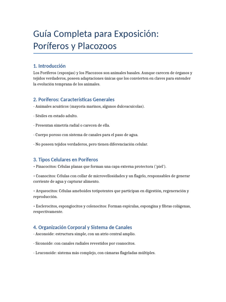 Guía Exposición Porifera Placozoa COMPLETA | PDF | Esponja | Biología