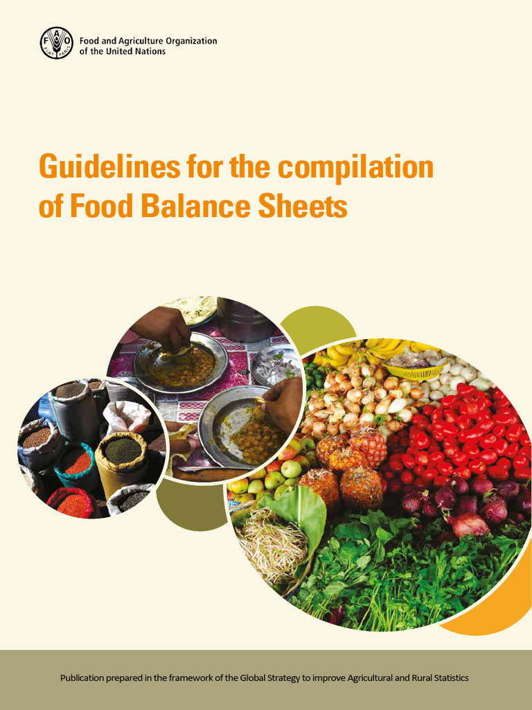 Food Balance Sheet Compilation Guide | PDF | Food Security | National ...