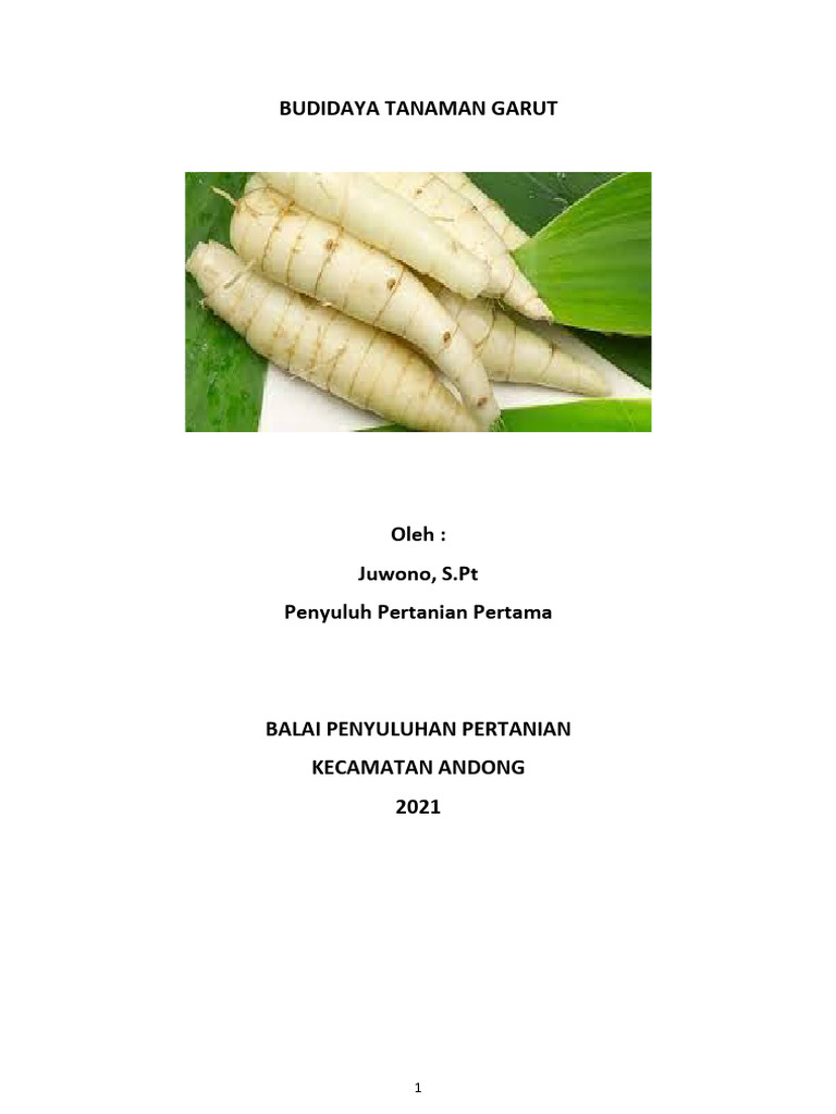Budidaya Tanaman Garut yang Efisien | PDF