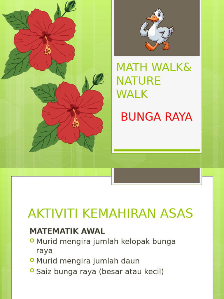 Math Walk& Nature Walk | PDF