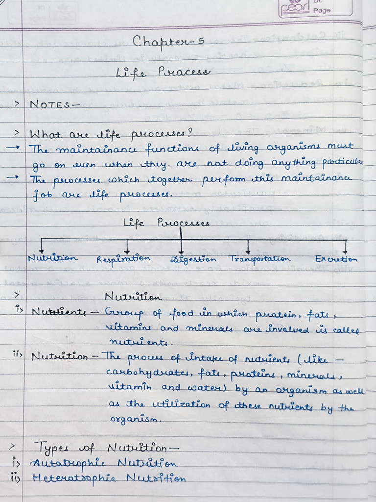 Life Processes-Class10th - Hand Written Notes | PDF