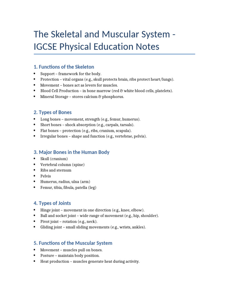 Skeletal Muscular System IGCSE PE | PDF