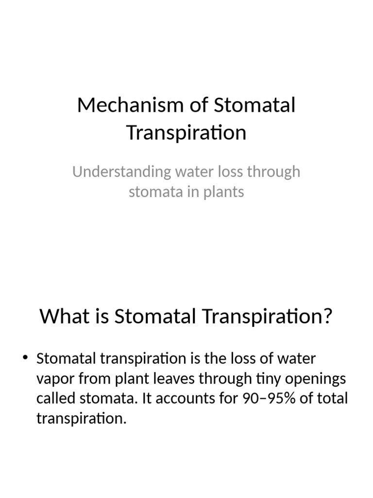 Mechanism of Stomatal Transpiration | PDF