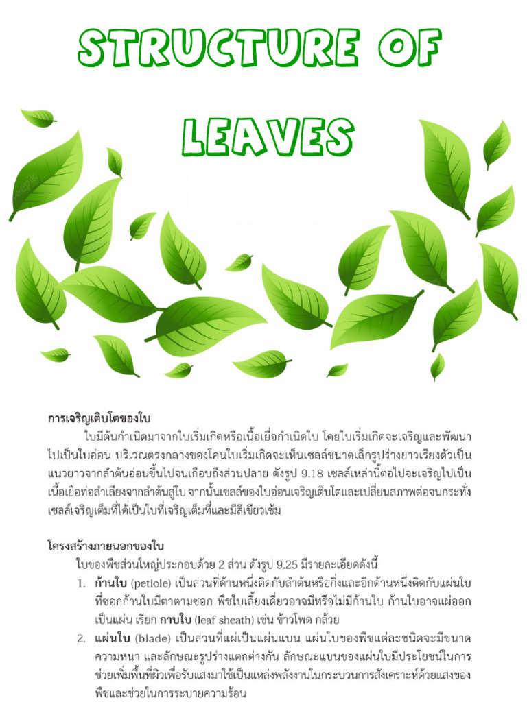 1.7 Structue of Leaf | PDF