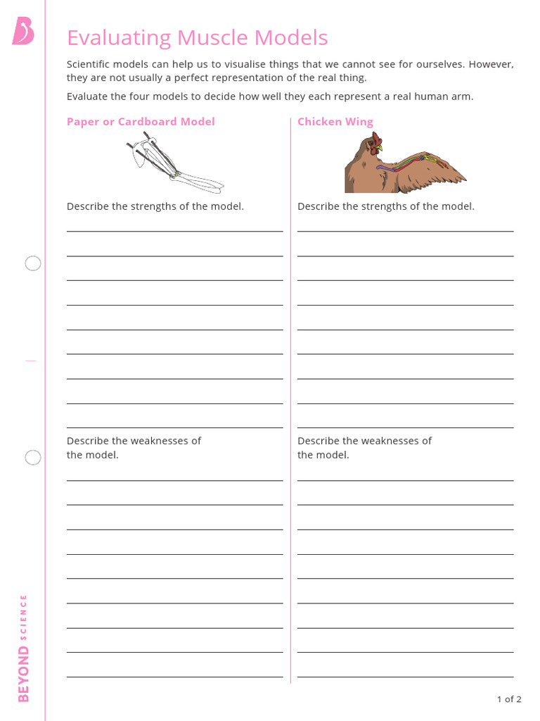 Evaluating Muscle Models Worksheet Without Dissection Photo (2 Per Page ...
