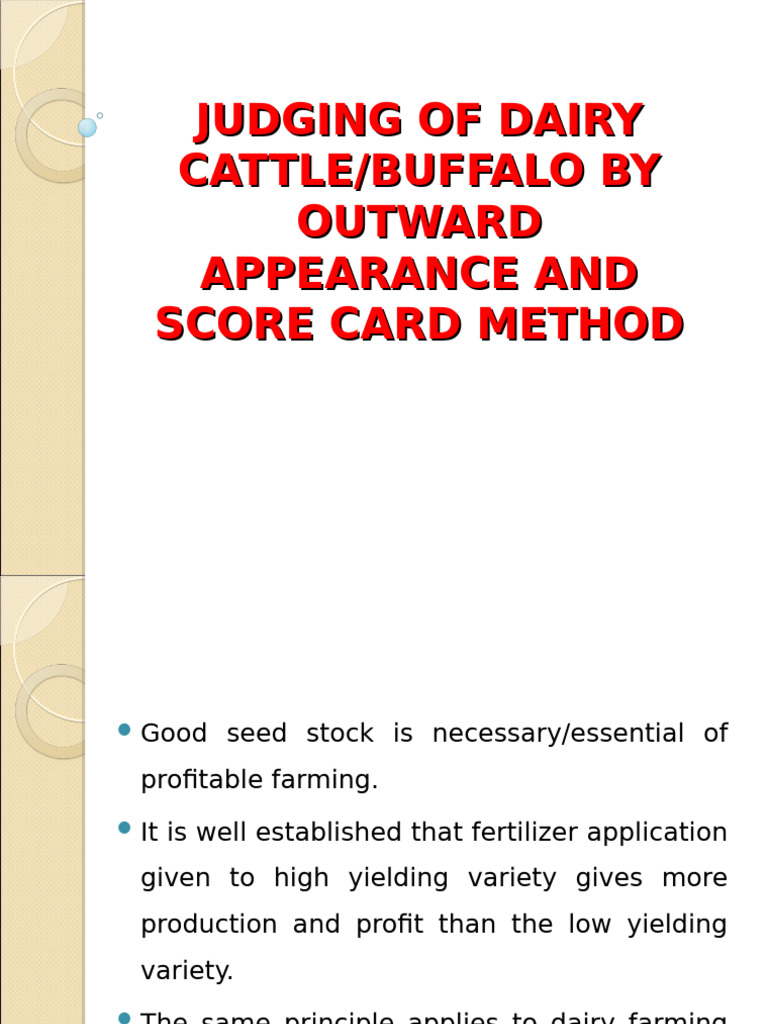 Judging Dairy Cattle: Key Criteria | PDF | Dairy | Dairy Farming