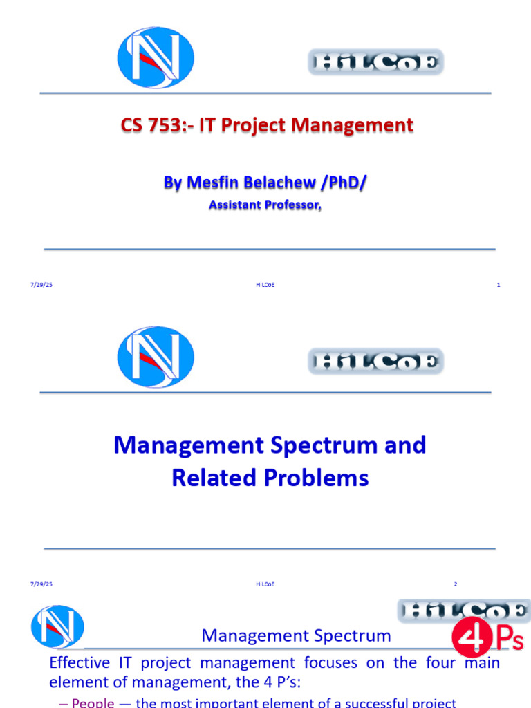 Management Spectrum in IT Projects | PDF | Organizational Structure ...