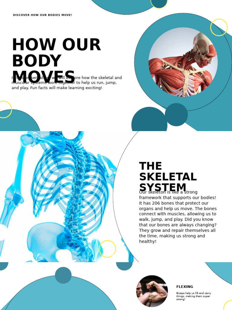 How Bones and Muscles Enable Movement | PDF