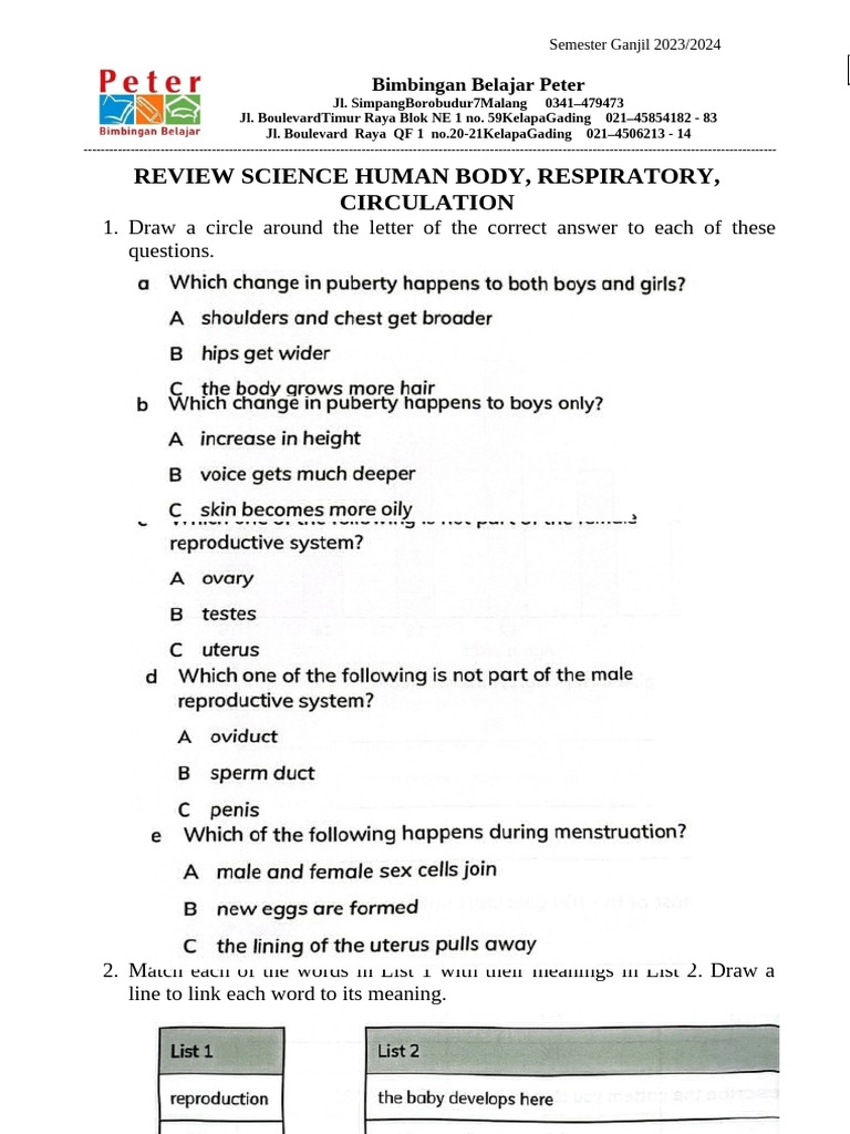 Human Body Science Review 2023/2024 | PDF | Circulatory System | Animal ...