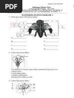 Position, Direction and Movement Grade 4 | PDF