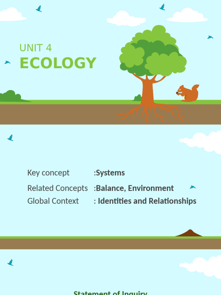 Gr6 - Unit 4 - Ecology 2025 | PDF | Ecosystem | Food Web