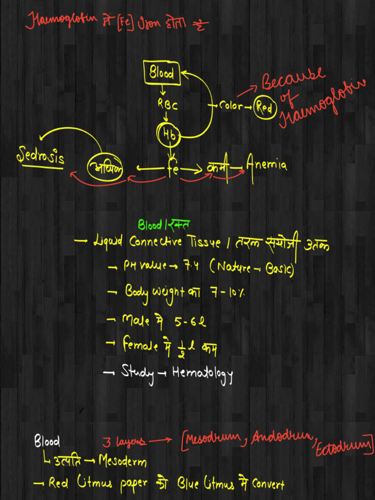 Blood Circulatory System - 2 (Full Circulation) | PDF
