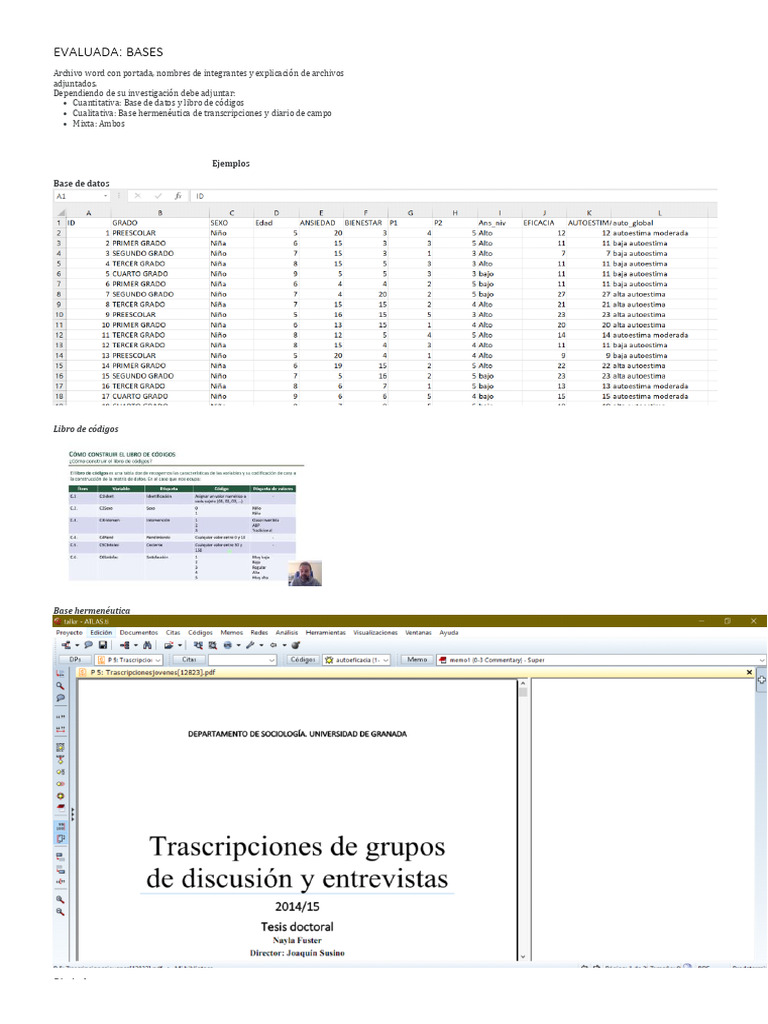 Evaluada Bases | PDF