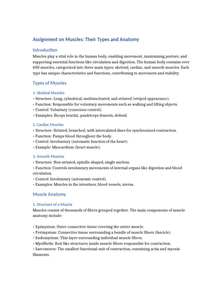 Types and Anatomy of Human Muscles | PDF | Muscle | Muscle Contraction