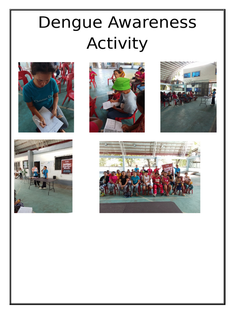 Dengue Awareness Activity | PDF
