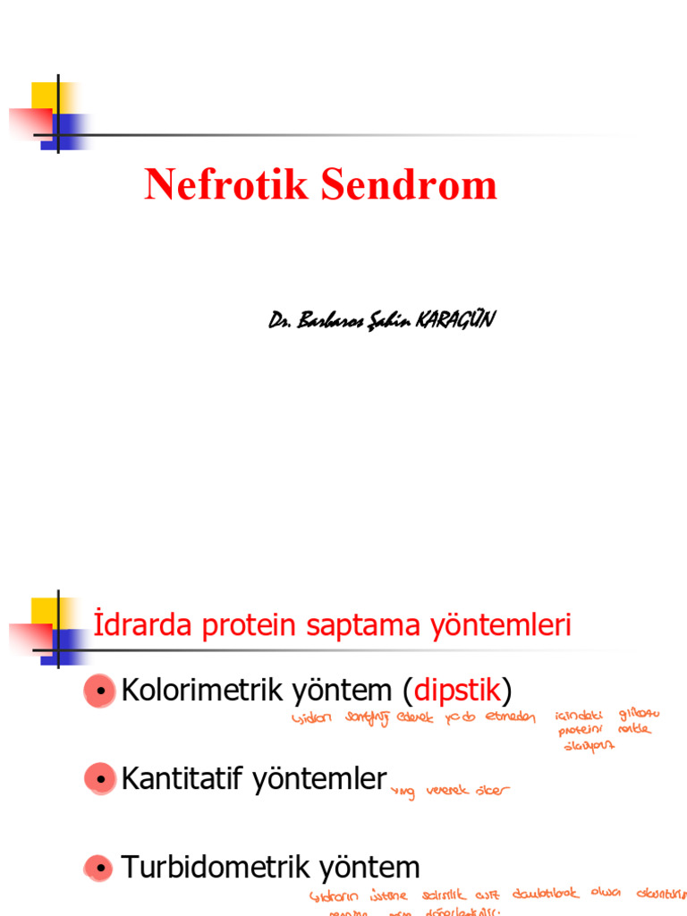 78-Nefrotik Sendrom | PDF