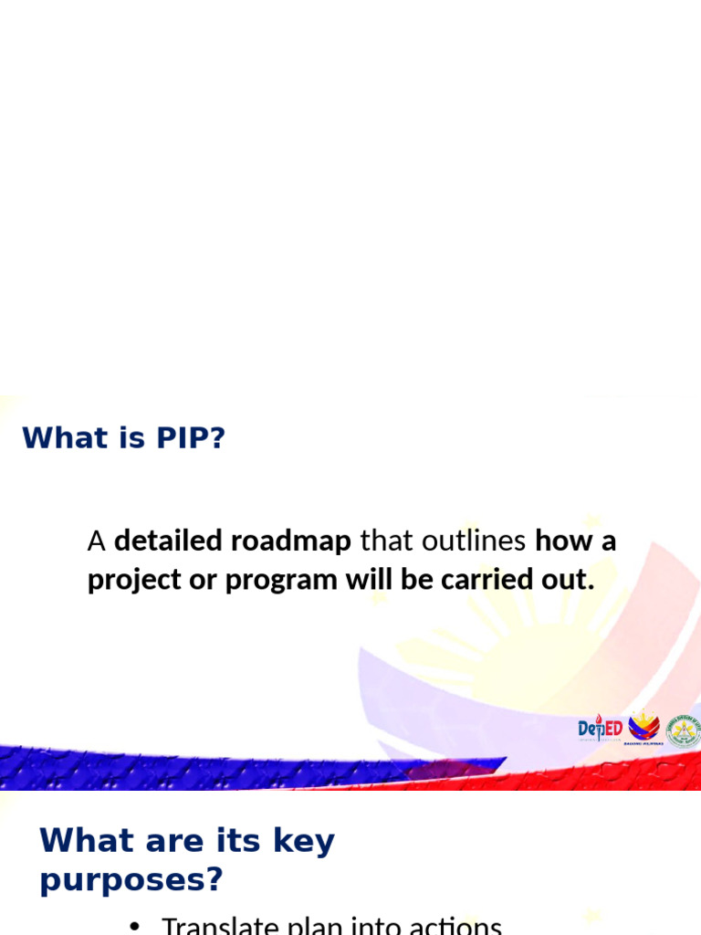 PIP: Project Implementation Plan Guide | PDF
