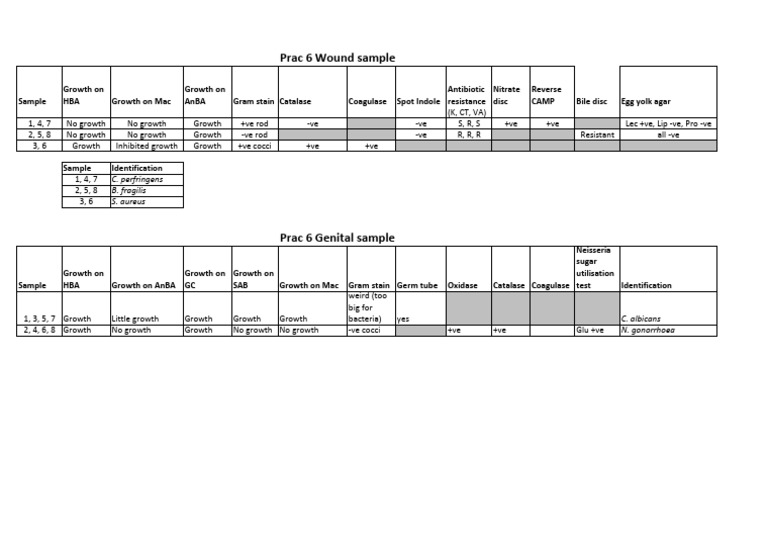 Prac 6 Class Results 2024 | PDF