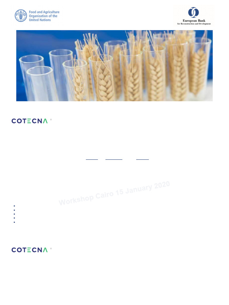 GAFTA 124 Sampling Guidelines | PDF | Cereals