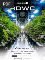 DIBELS 8th Edition Maze Benchmark | PDF