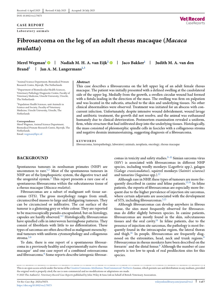 Vet Record Case Reports - 2025 - Wegman - Fibrosarcoma On The Leg of An ...