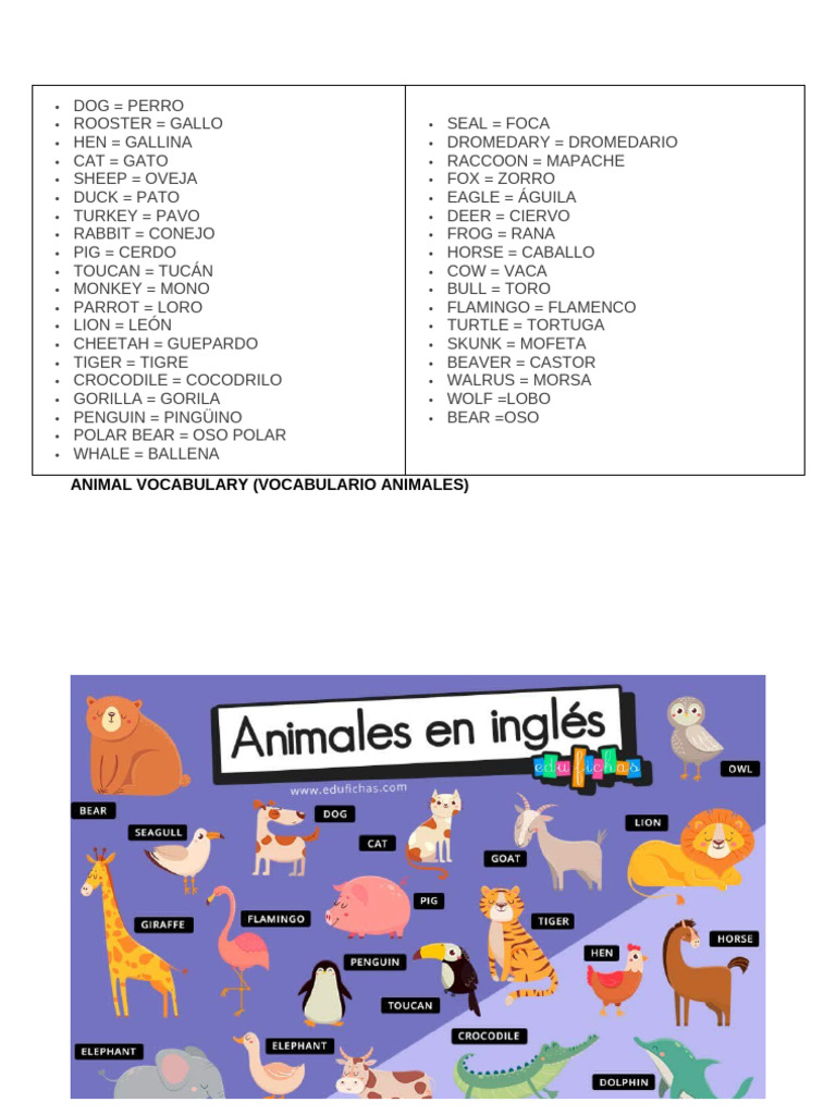 VOCABULARIO | PDF