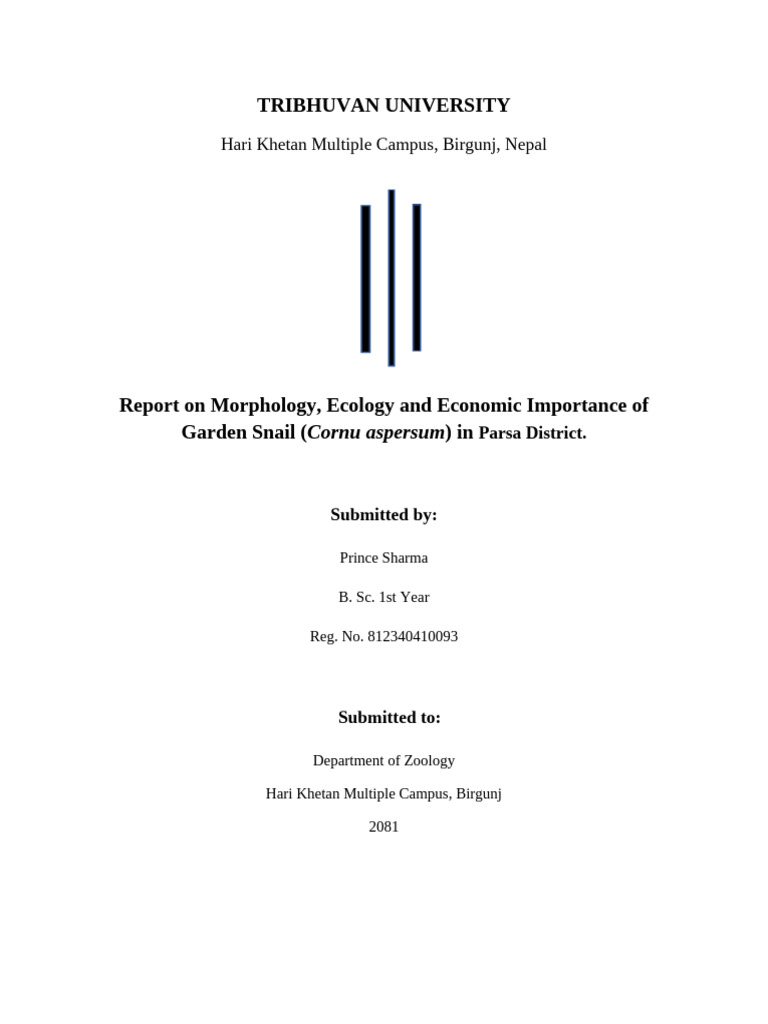 BSC Report | PDF