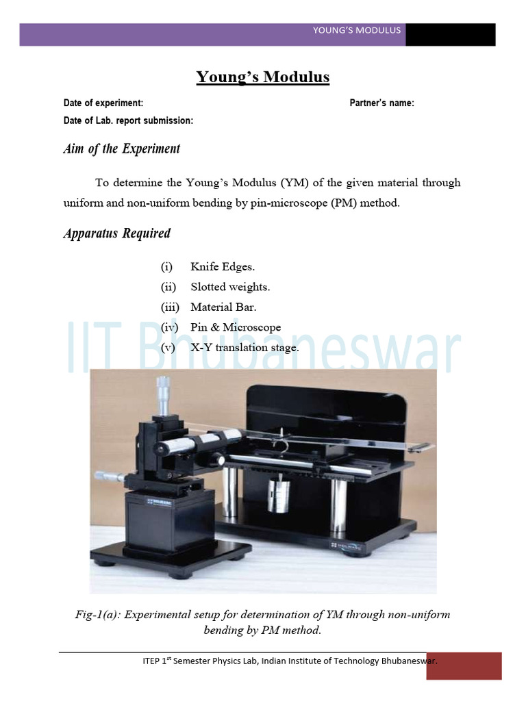 Young's Modulus Expdndndsmdnxndmfn | PDF | Young's Modulus | Elasticity (Physics)