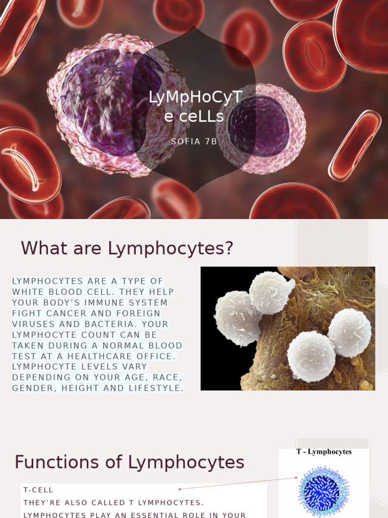 Lymphocyte Cells | PDF